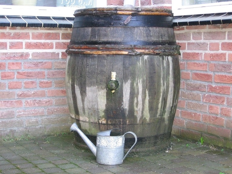 How to Set Up A Rain Barrel to Water Your Garden | ZacsGarden.com
